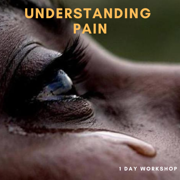 Beyond Pain: Conquer Your Pain, Reclaim Your Life - Anjelo Ratnachandra